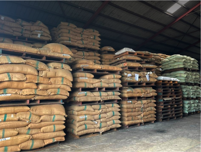 Top Unroasted Raw Arabica Coffee Beans Supplier in Malaysia