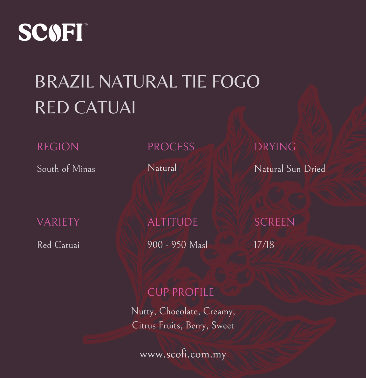 Scofi is top unroasted coffee beans supplier in Malaysia